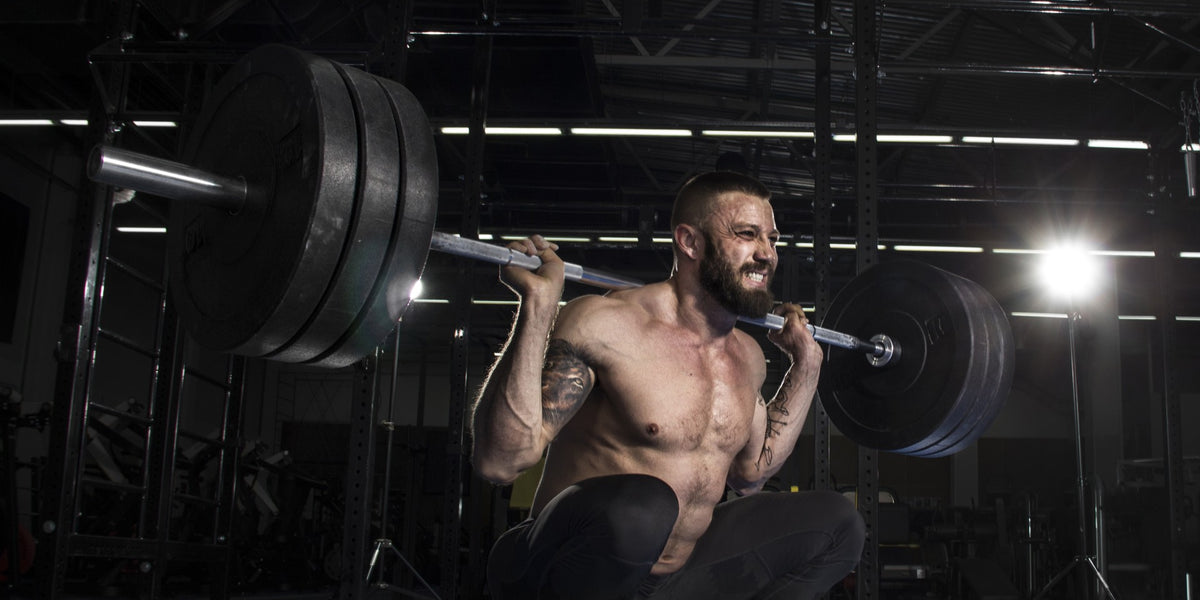 Squat Every Day Total Body Program — Tiger Fitness