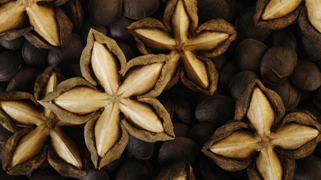 Sacha Inchi - High Protein Superfood — Tiger Fitness