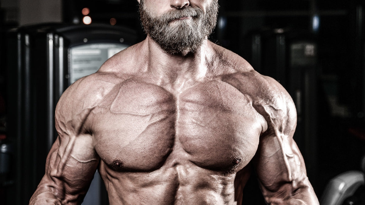 Building Muscle Over 40: How to Train and Gain — Tiger Fitness