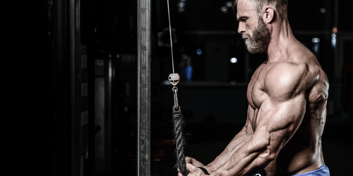 Discover The Best Rep Range For Muscle Growth — Tiger Fitness