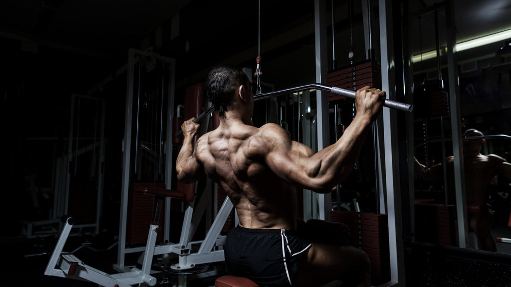 The 8 Best Back Exercises For Mass and Strength — Tiger Fitness