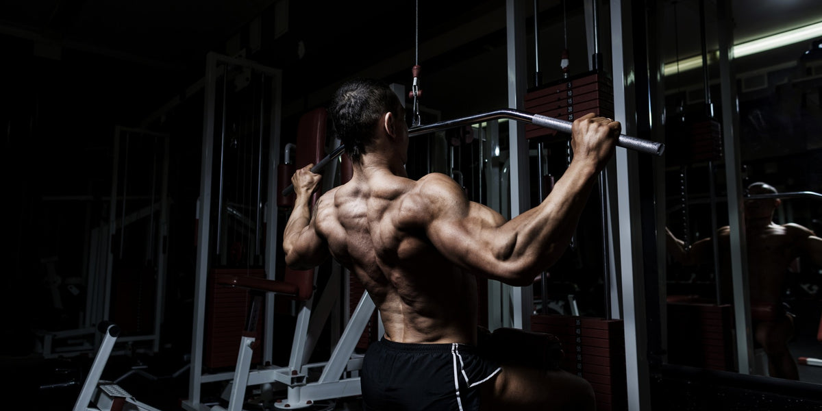 The 8 Best Back Exercises For Mass and Strength — Tiger Fitness