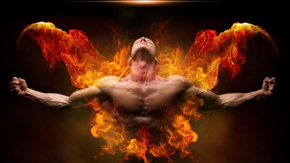 The Power of Nitrates - Gym Performance & Muscle Enhancement — Tiger ...