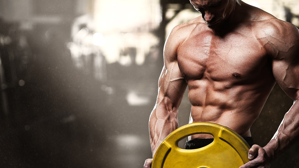 8 One Plate Exercises That Build Muscle — Tiger Fitness