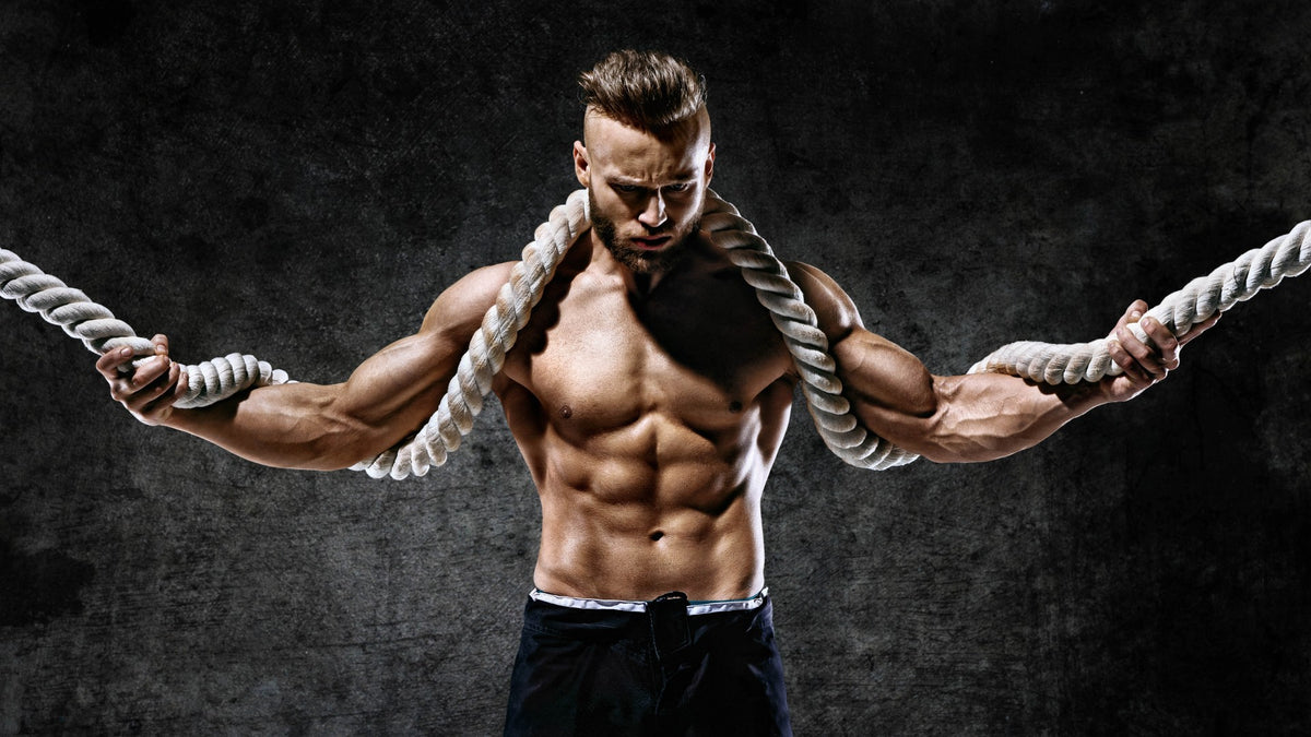 Build Strength with These 17 Secret Tips — Tiger Fitness