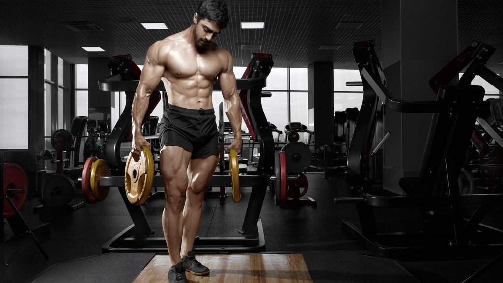 5 Exercises to Increase Your Front Squat and Quadriceps Size — Tiger ...