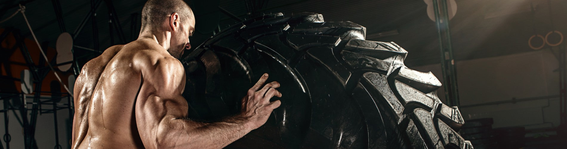 6 Top Benefits of Working Out — Tiger Fitness