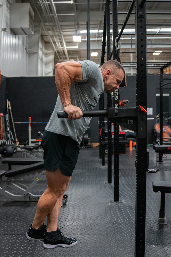 Dips Exercise Instructions and Tips — Tiger Fitness