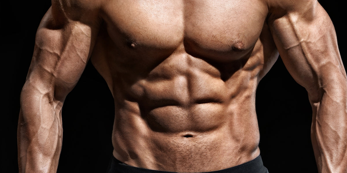 How to Get a Six Pack - 5 Things You Must Know — Tiger Fitness