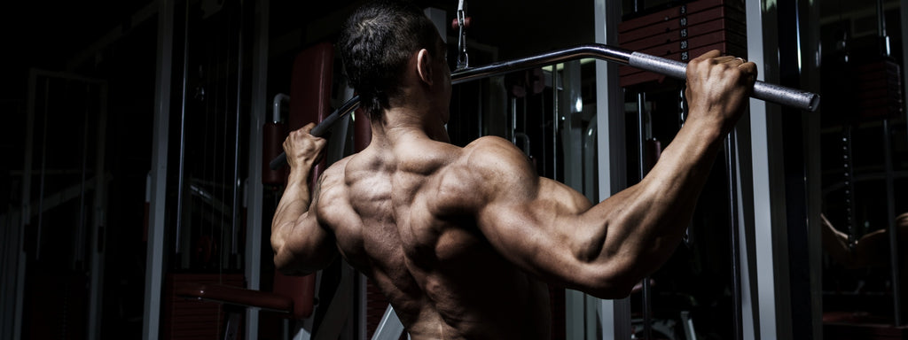 5 Upper Back Exercises for Advanced Back Training Workouts — Tiger Fitness