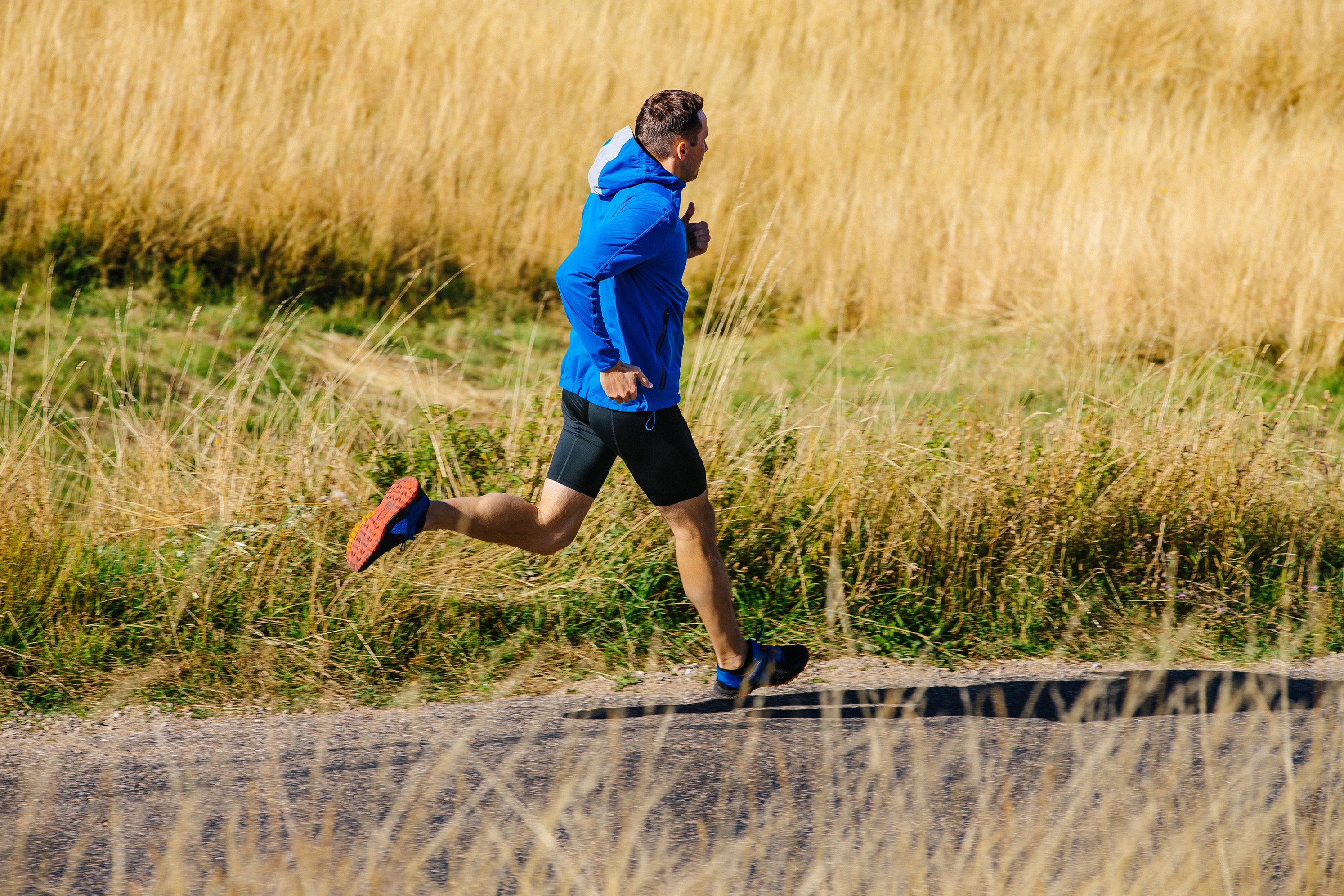 The Benefits of Low Heart Rate Training for Runners — Tiger Fitness