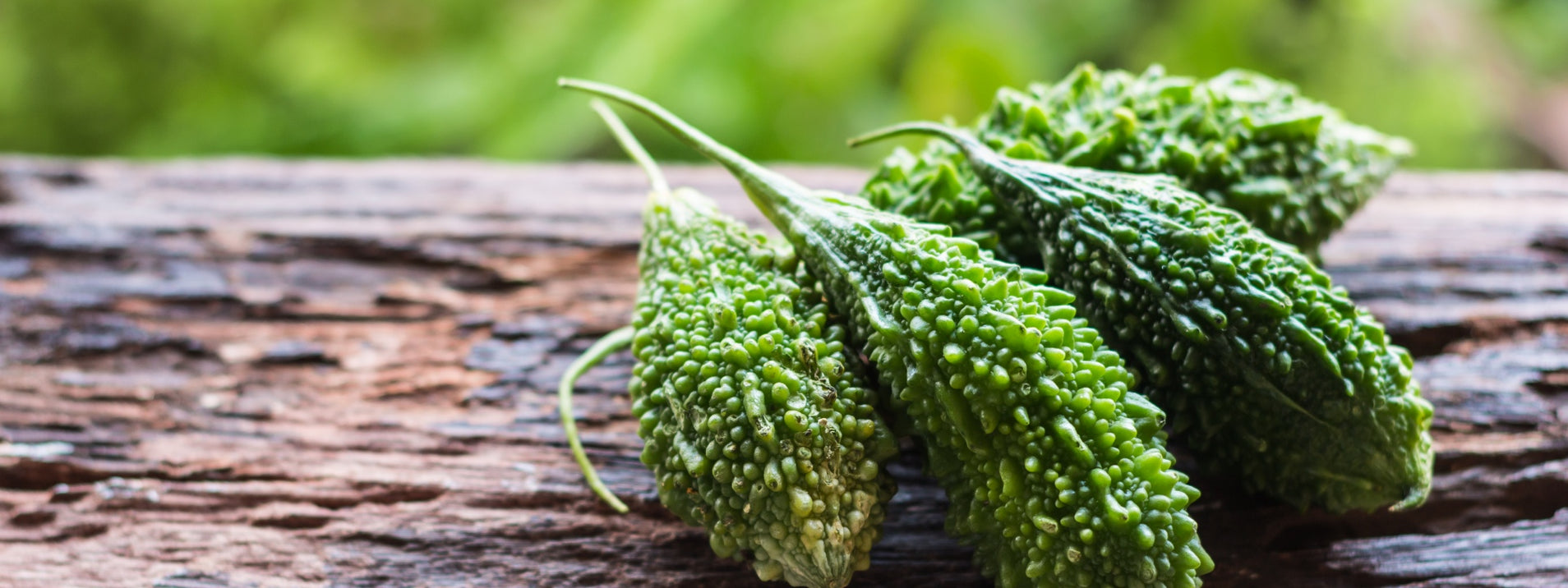 Bitter Melon - History, Uses, and Benefits — Tiger Fitness