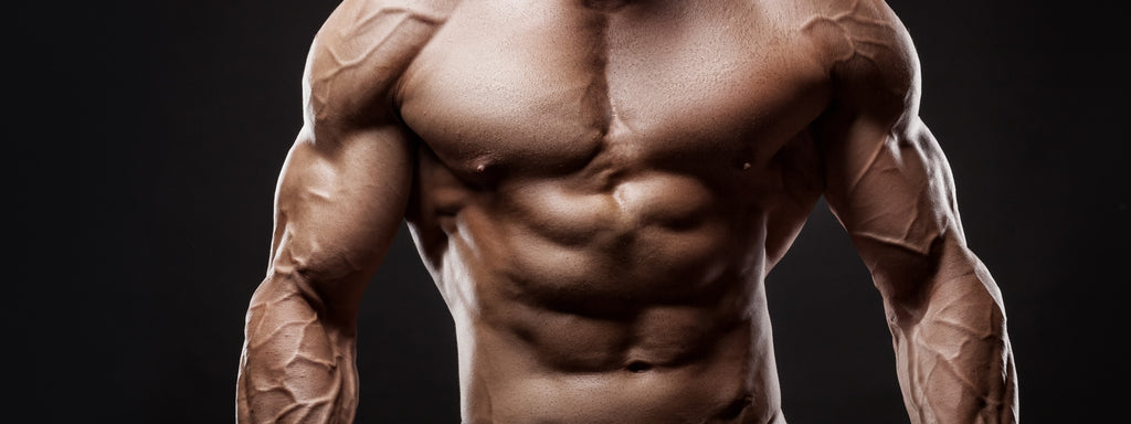 8 Tips to Help You Gain a Pound of Muscle — Tiger Fitness