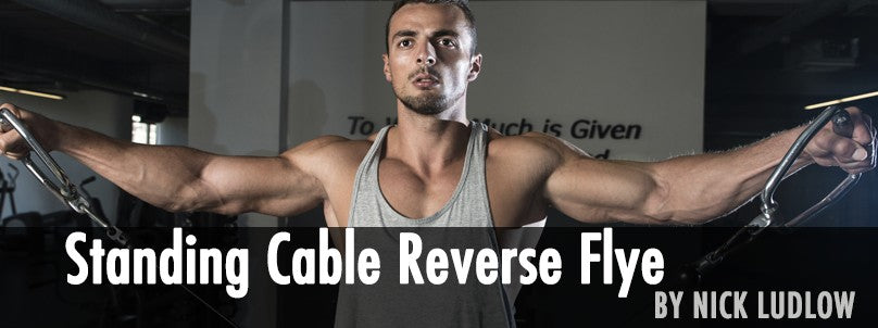Standing Cable Reverse Flye - A Complete Guide With Form Tips — Tiger ...