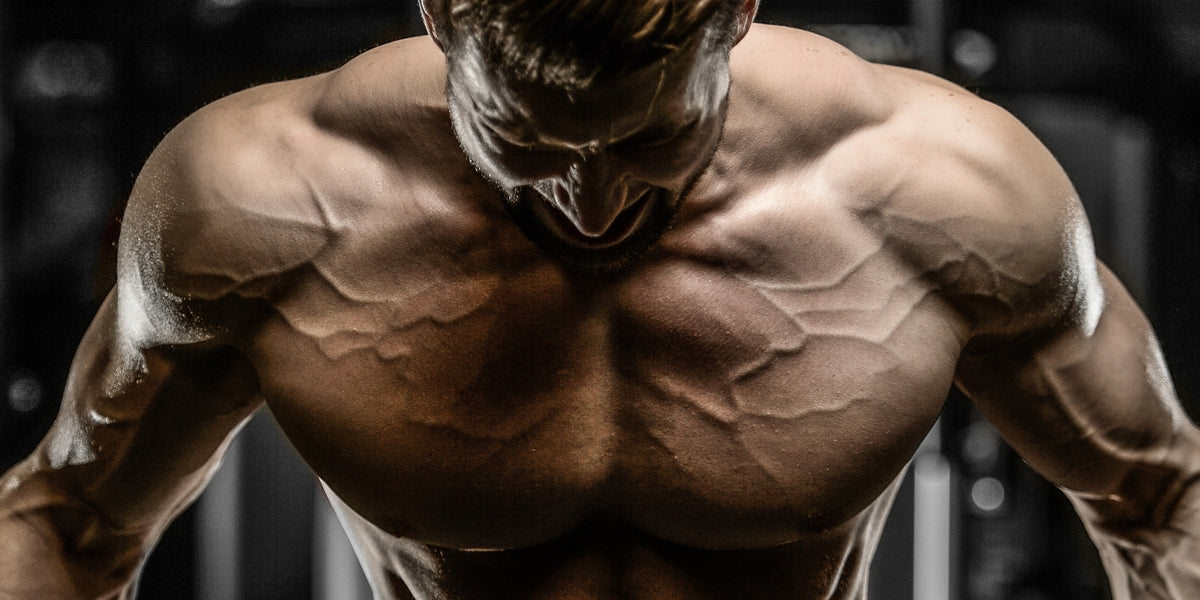 6 Chest Growth Exercises You Need to Try — Tiger Fitness
