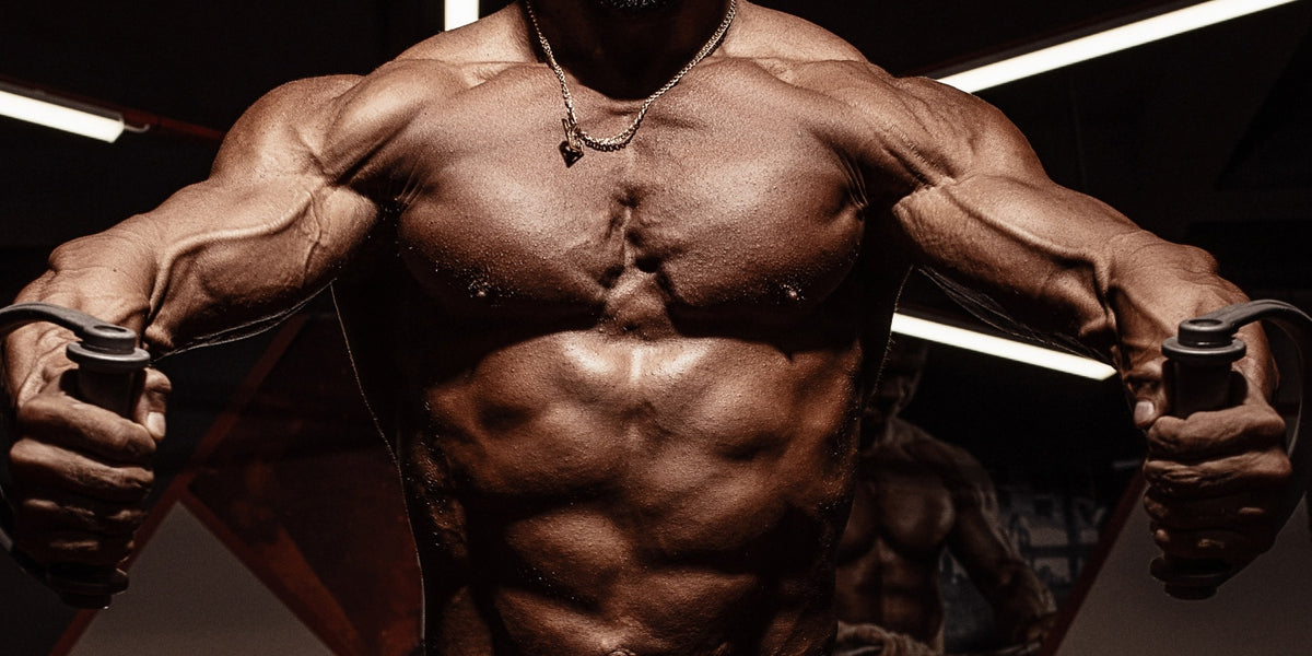 The Best Workout Routines - Our Top 10 Training Programs — Tiger Fitness