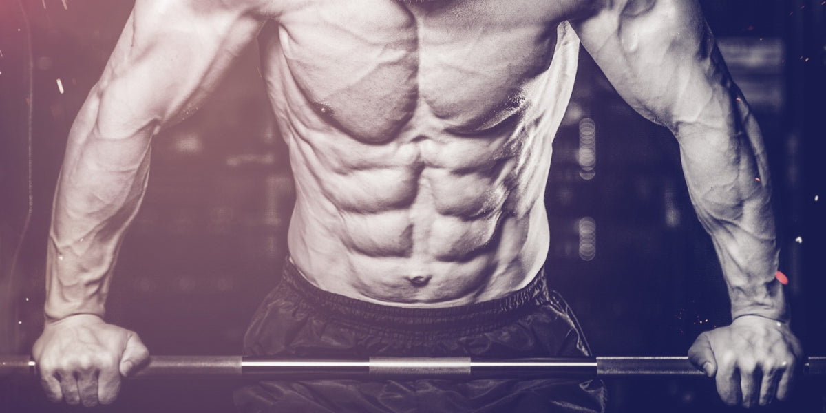 The Ultimate 16 Week Bench Press Workout Program — Tiger Fitness