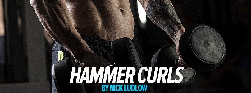 Hammer Curl - A Complete Guide With Form Tips — Tiger Fitness