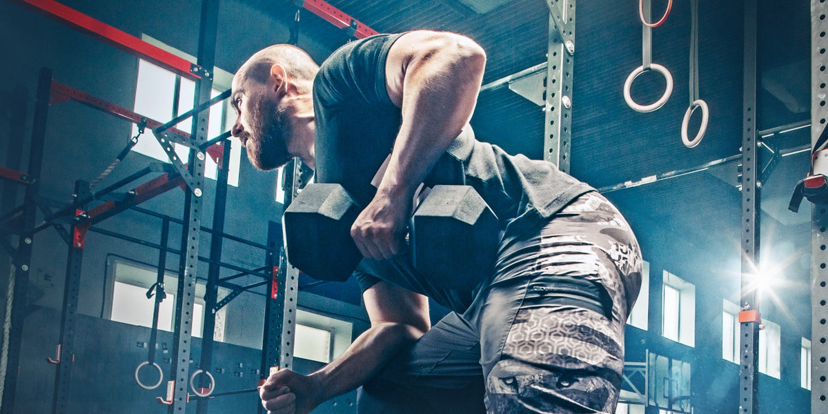 The Best Full Body Workout Routine for Muscle Building — Tiger Fitness