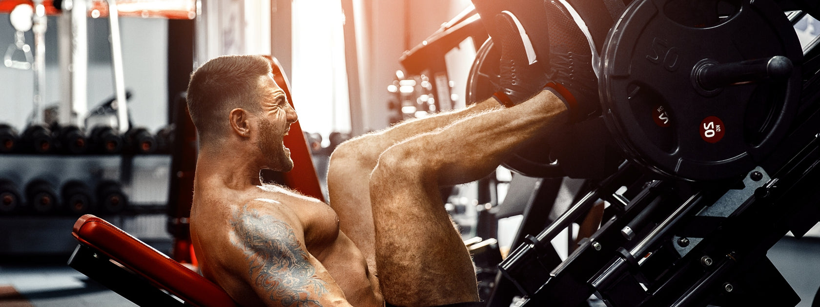 10 Muscle Building Facts Everyone Needs to Know — Tiger Fitness