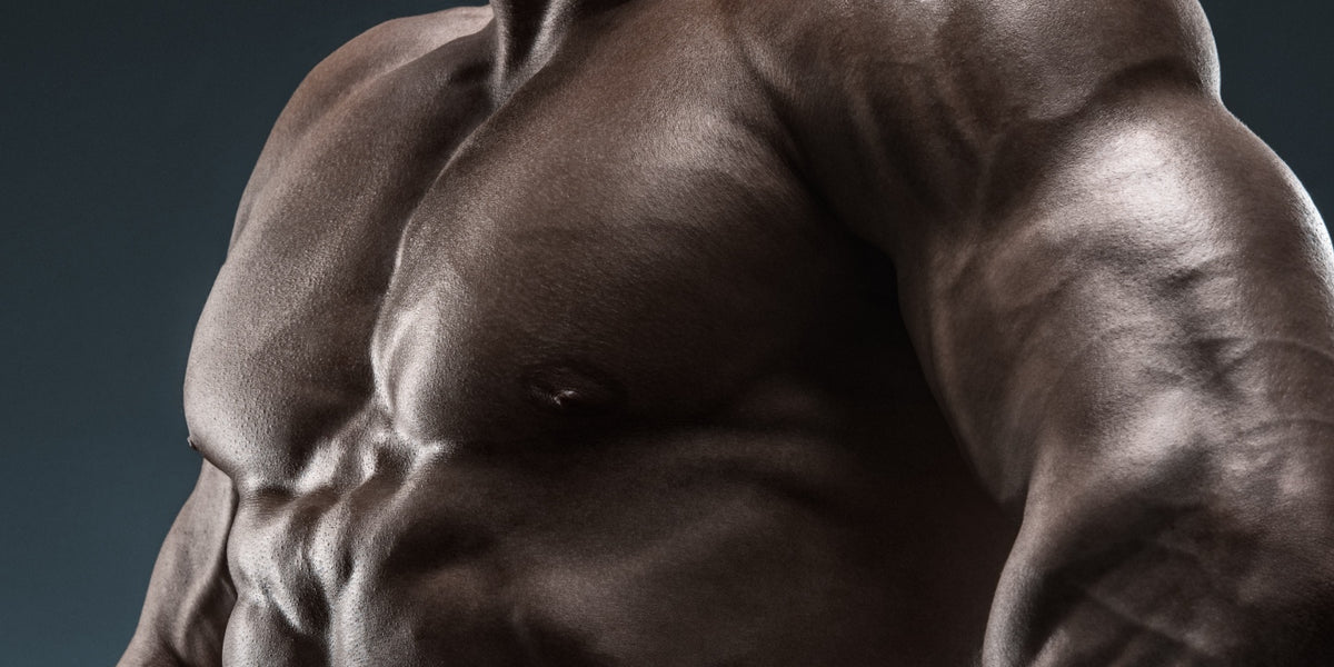 The Best 10 Week Mass Building Workout Routine — Tiger Fitness