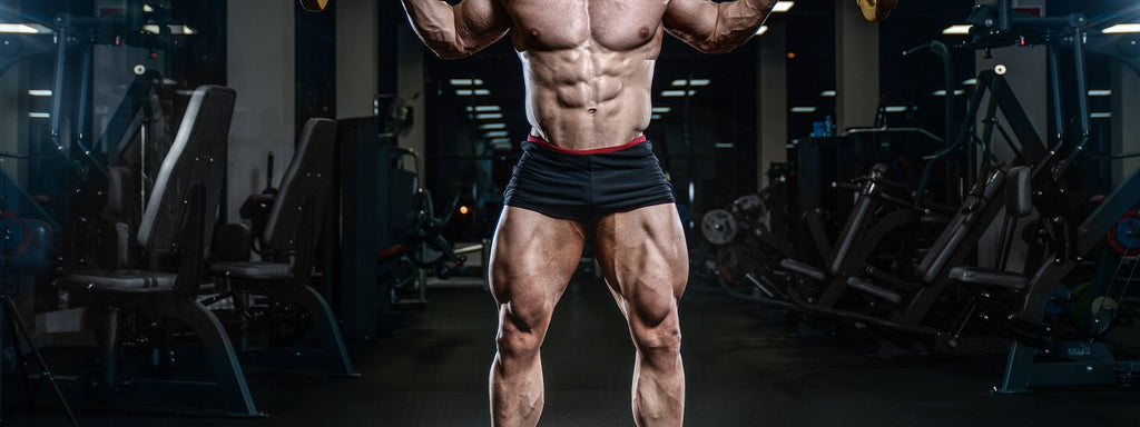 10 Quad Exercises for Bigger, More Muscular Legs — Tiger Fitness