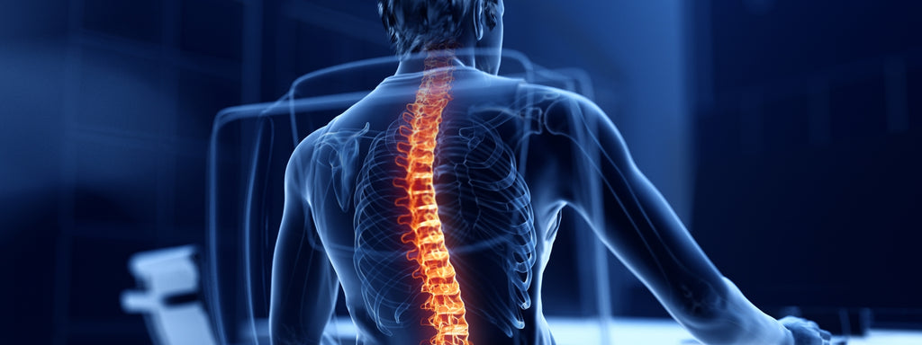 15 Ways Bad Posture Impacts the Body — Tiger Fitness