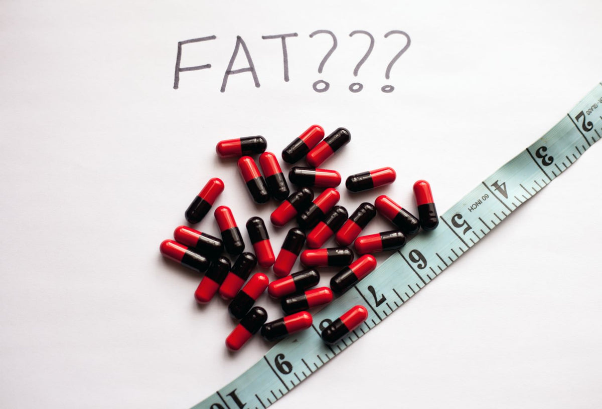 Choosing Your Ideal Fat Burner — Tiger Fitness