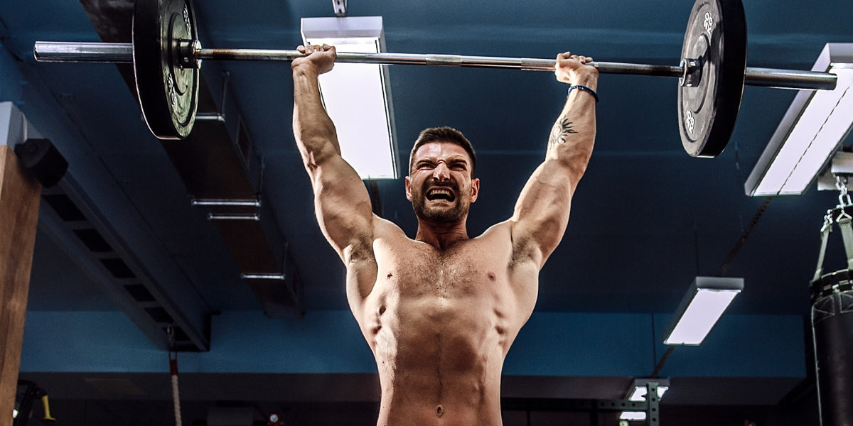 Strength Training: The Missing Muscle Building Key? — Tiger Fitness