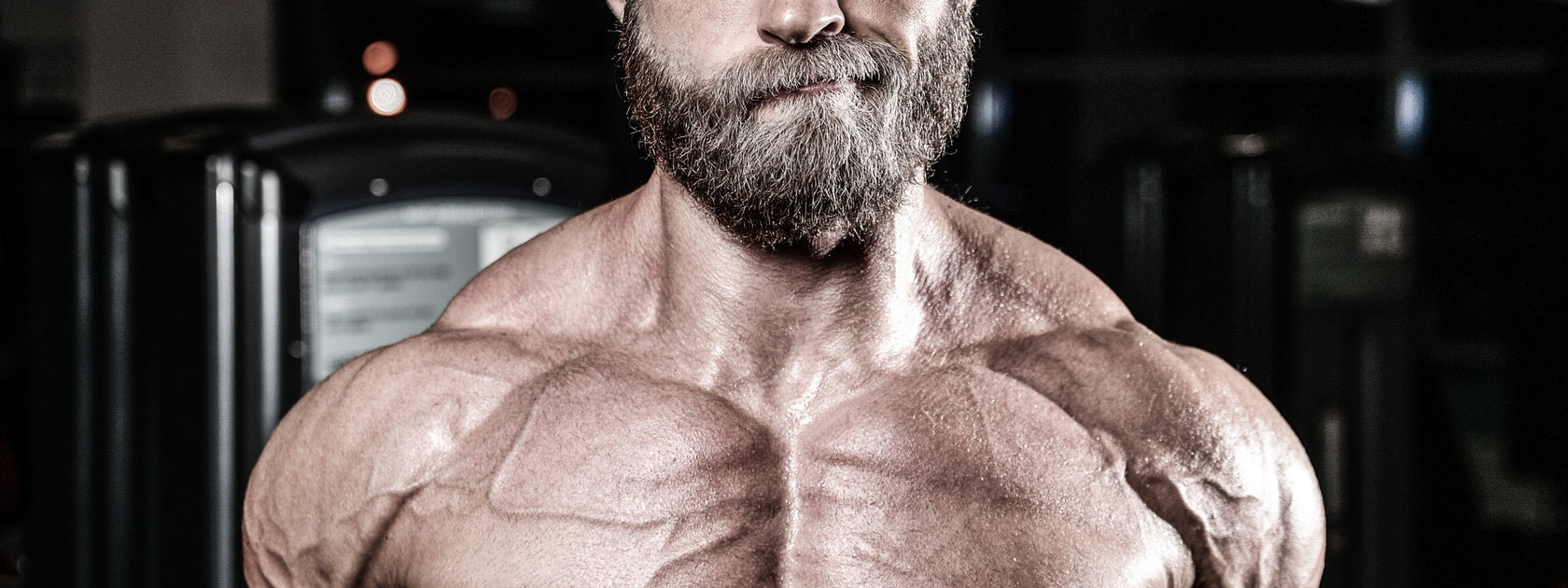 The Best Back Workout for Huge Traps and Back Gains — Tiger Fitness