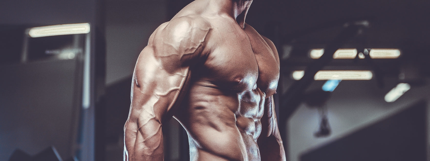 Kick-Start Your Triceps Size With These 3 Tips — Tiger Fitness